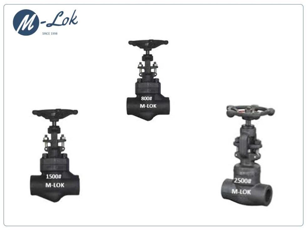 Home - Megalok Valves & Fittings India Pvt. Ltd.